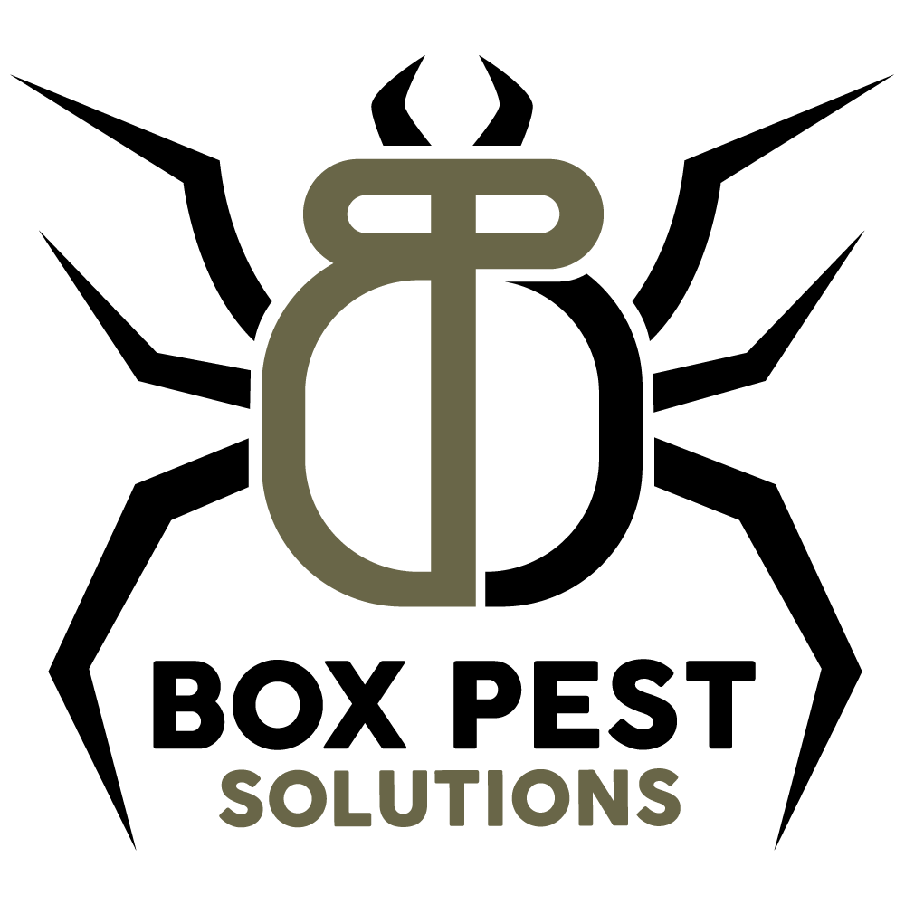 Box Pest Solutions | Waterloo-Cedar Falls, Iowa
